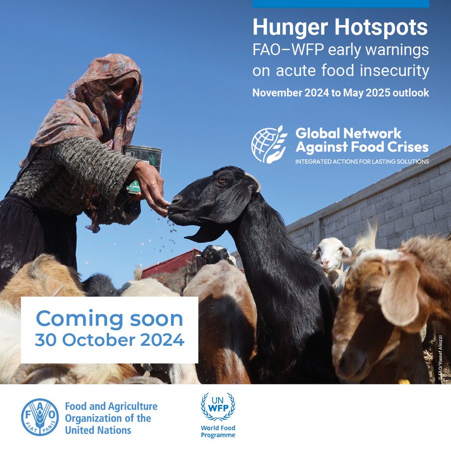 Food Insecurity: A Hidden Catalyst for Illiteracy and Poverty | SDG2 ...