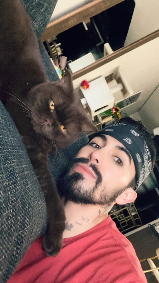 Alejandra Stone's Instagram, Twitter & Facebook on IDCrawl