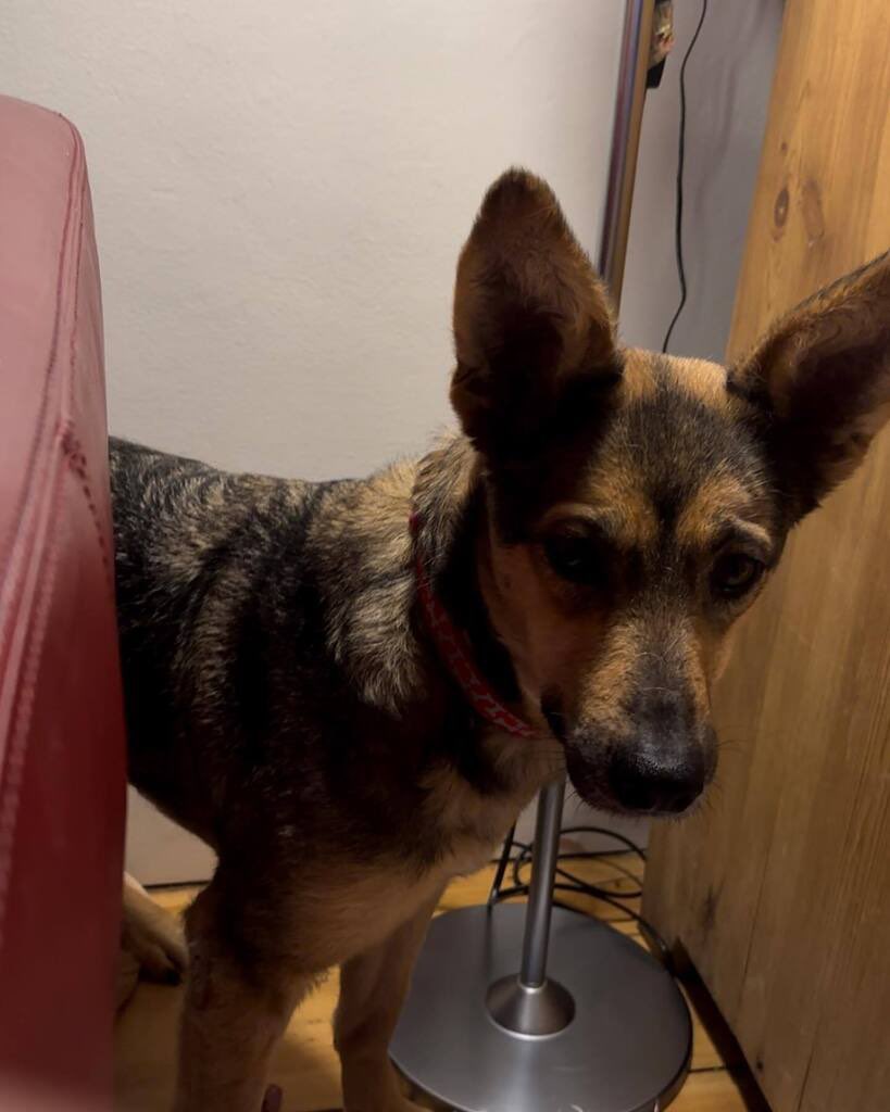 Niall Harbison's Threads – Thread Reader App