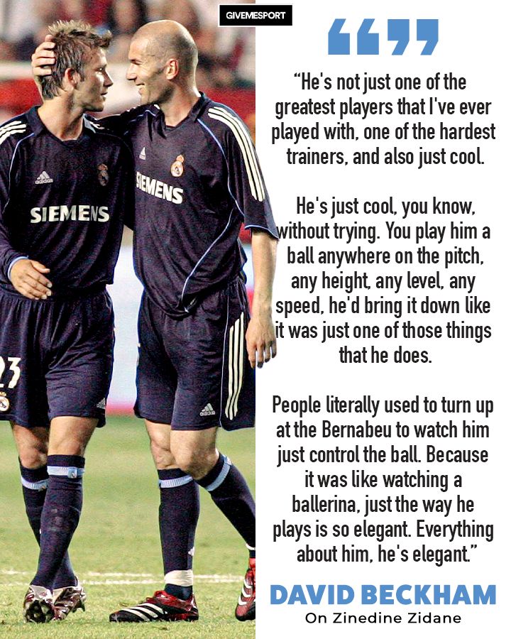 Zinedine Zidane Side View