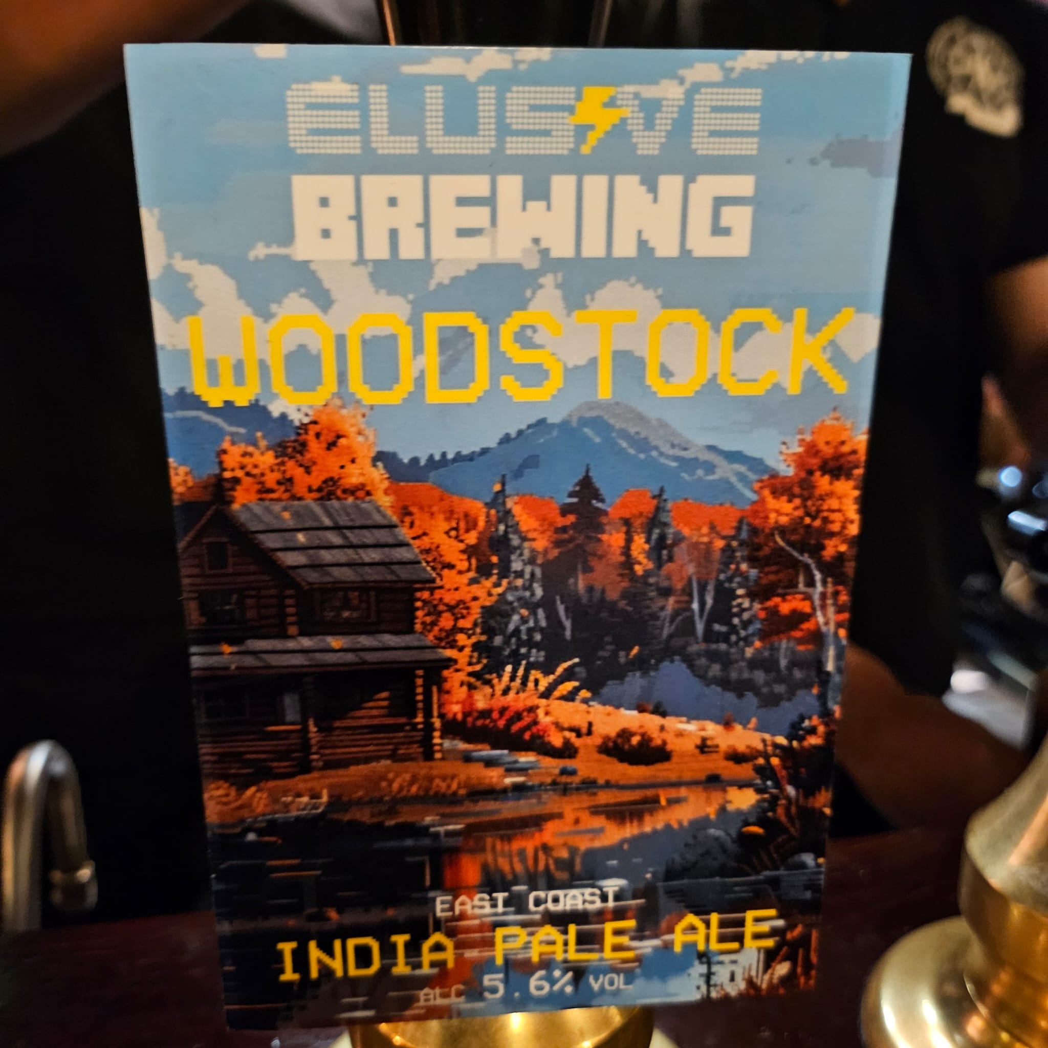 Barry Beerfest Quotes Max Barry Quote: “Some People Would Break The