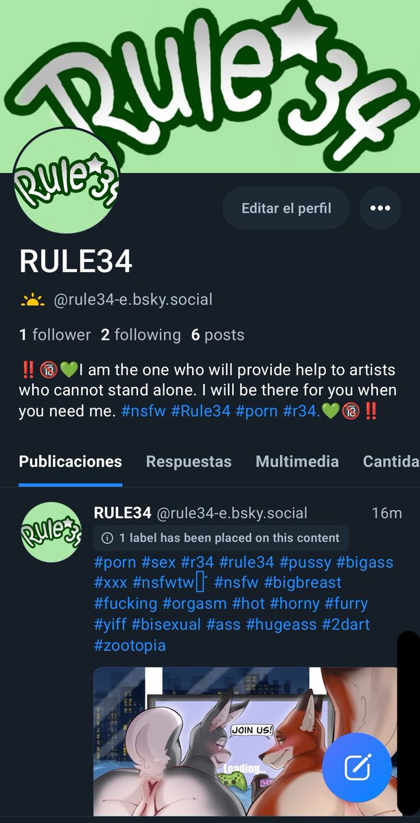 Rule34 Rule34r Posts And Replies X 0958
