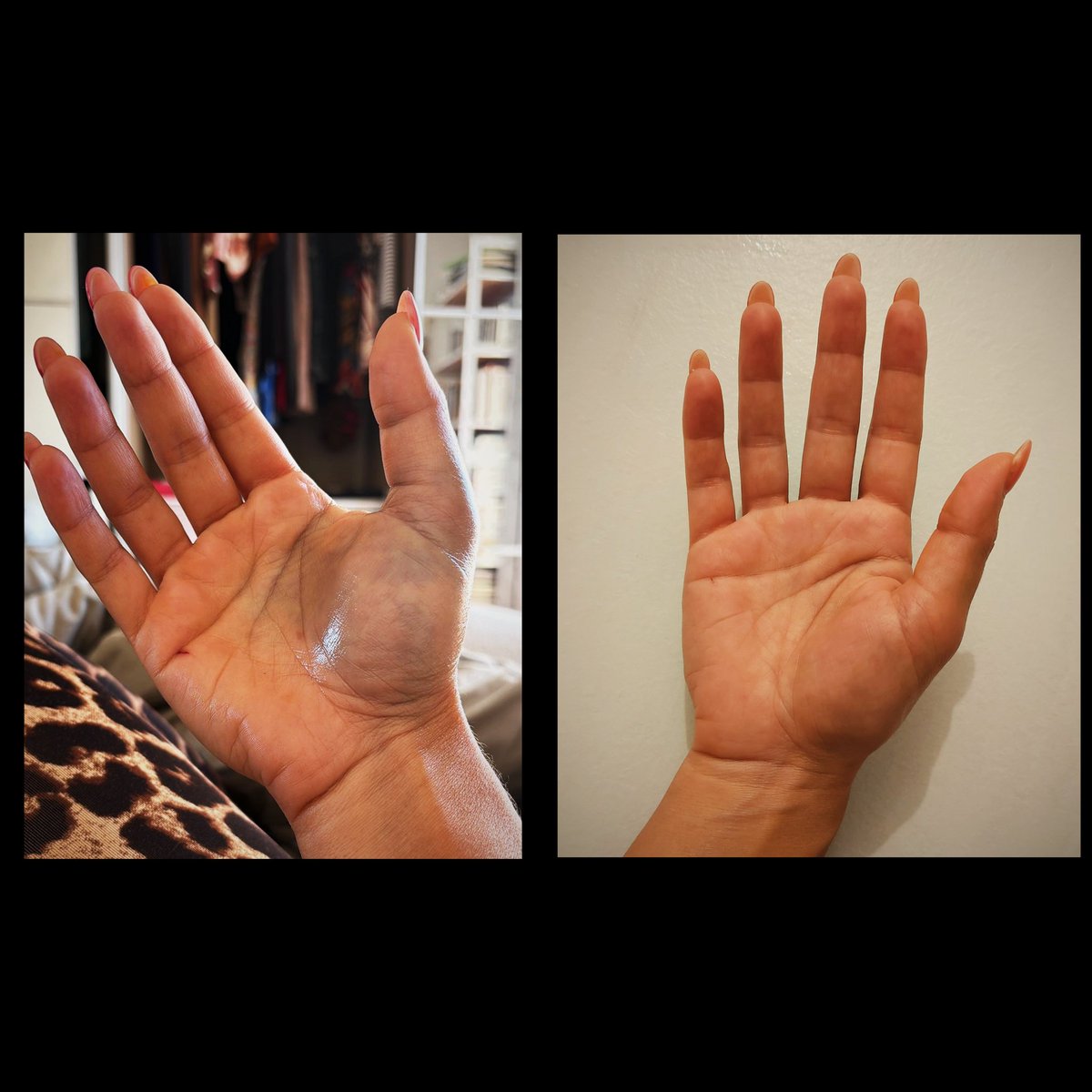 Vitalholis's Threads – Thread Reader App