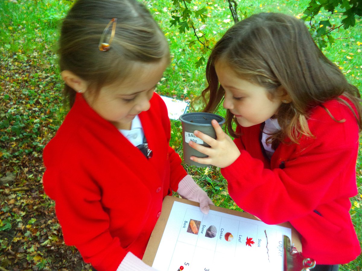 Welcome - The Merton Primary School