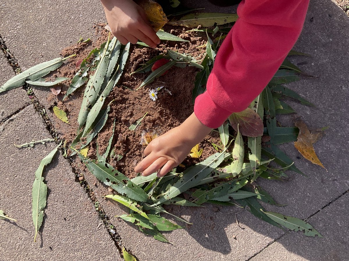 Home - Cobden Primary School