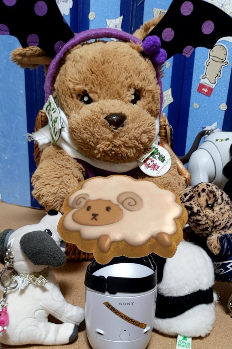 いぬきち(@inukichi_aibo) - Twilog (ツイログ)