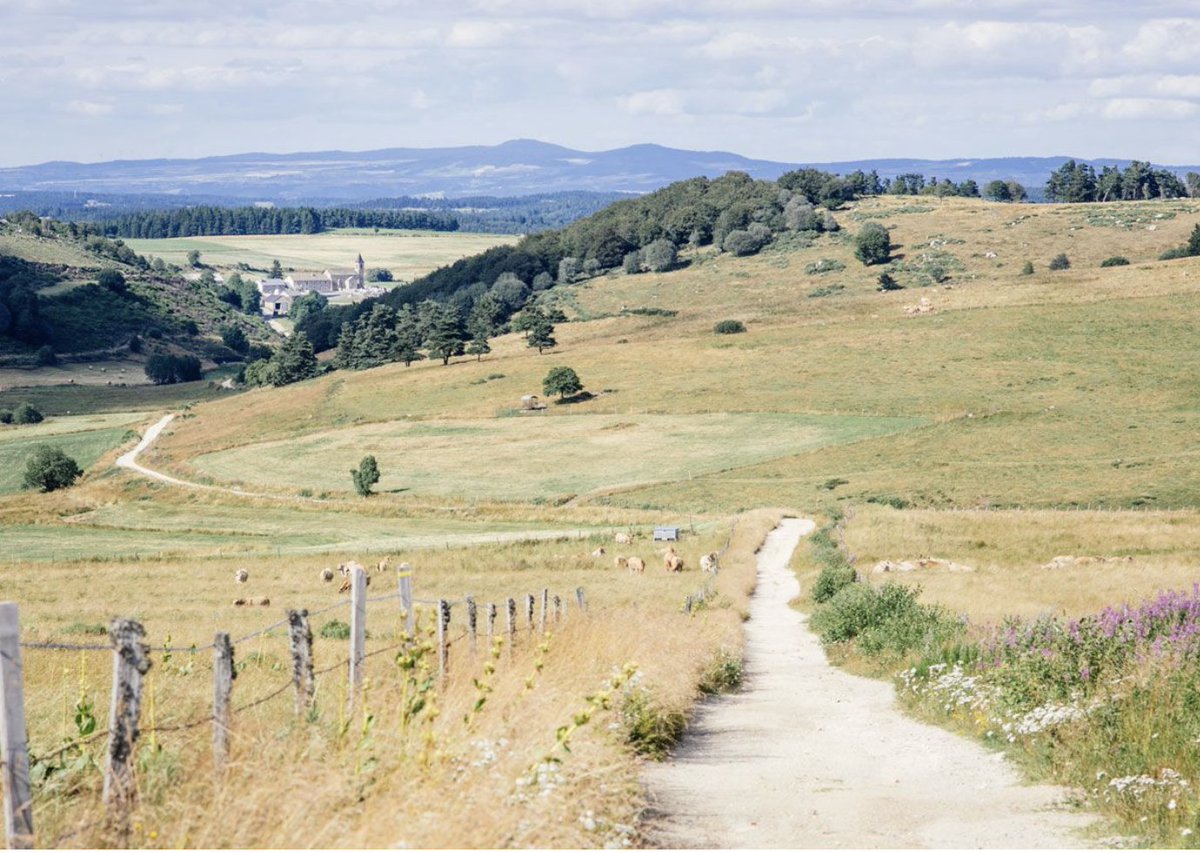 Itai CELLIER's Threads – Thread Reader App