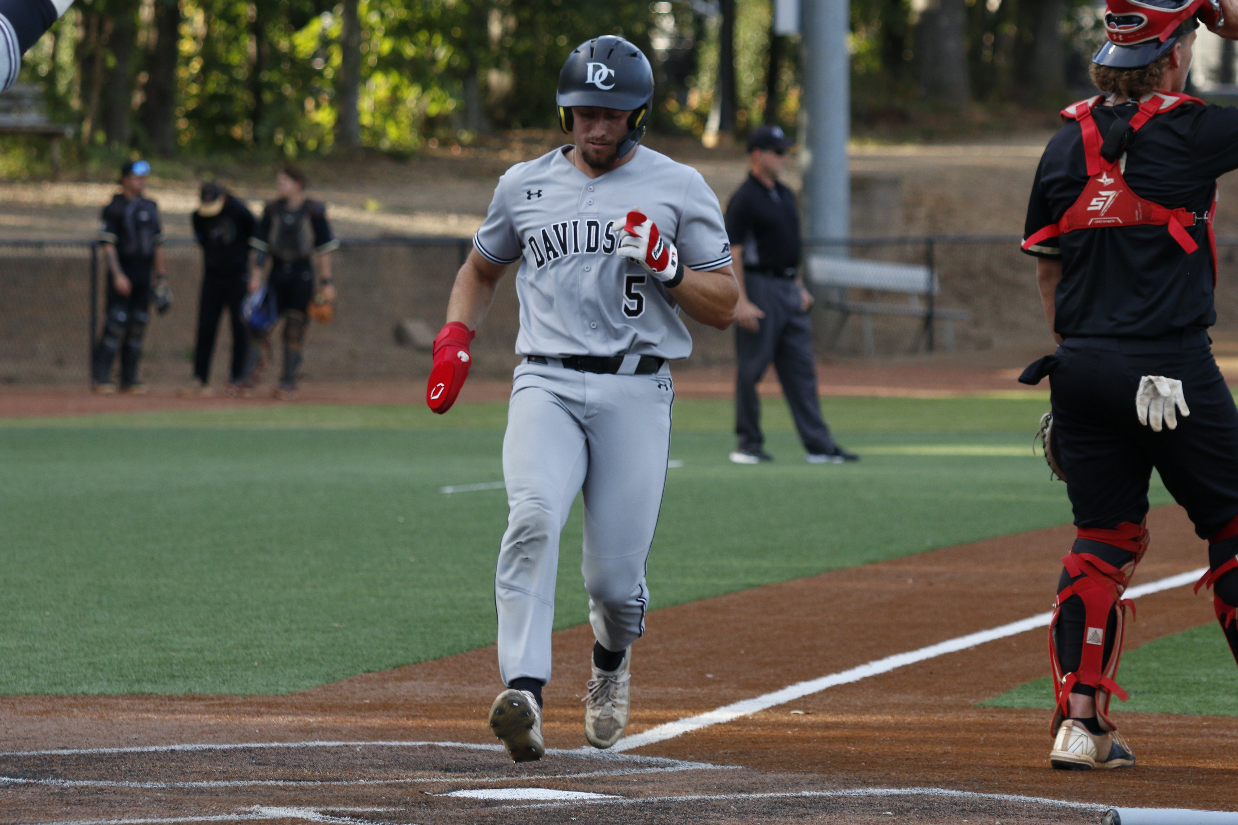 Davidson baseball store