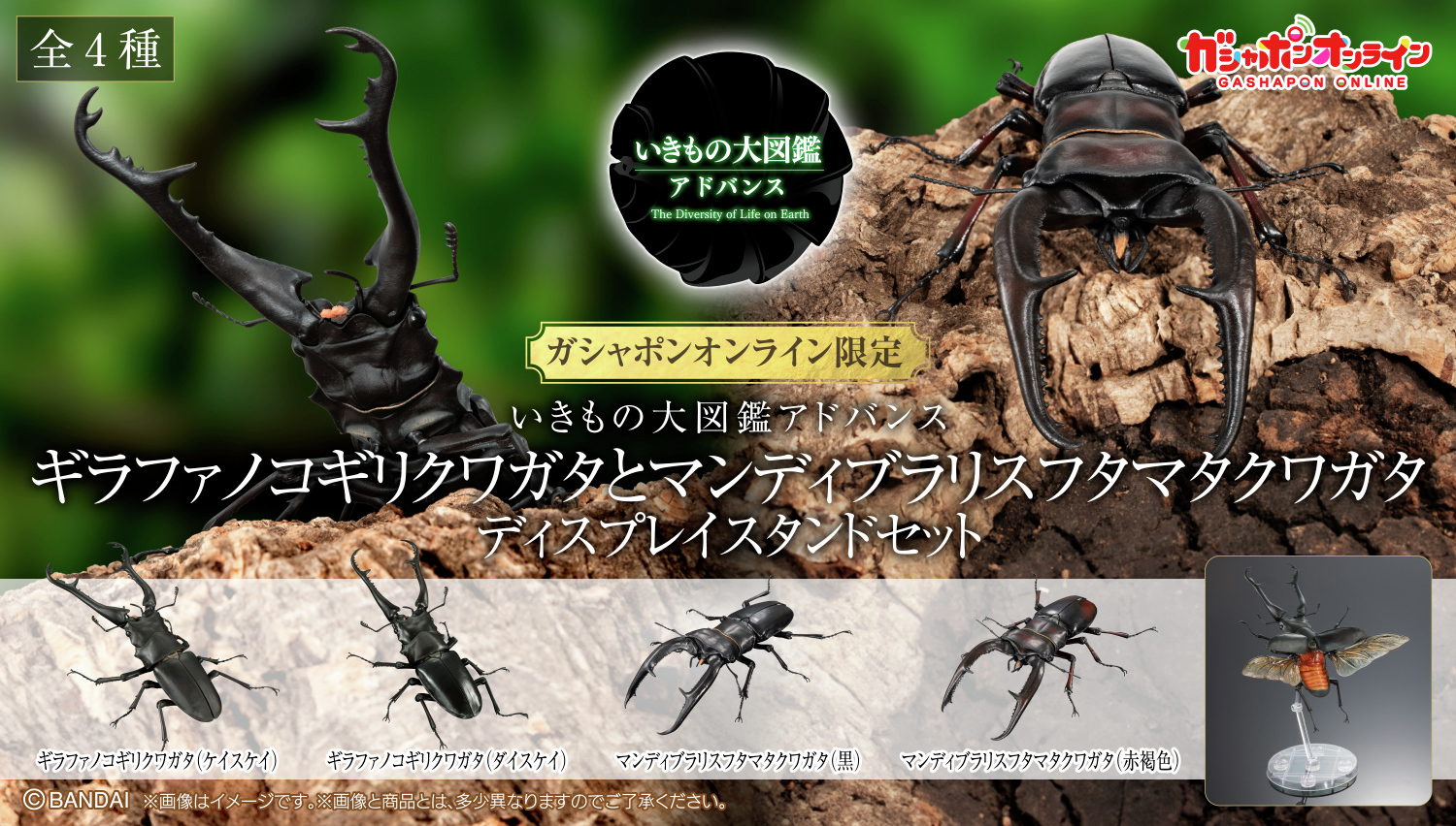 いきもの大図鑑アドバンス たより マンディブラリスフタマタ いきもの大図鑑アドバンス たより マンディブラリスフタマタ