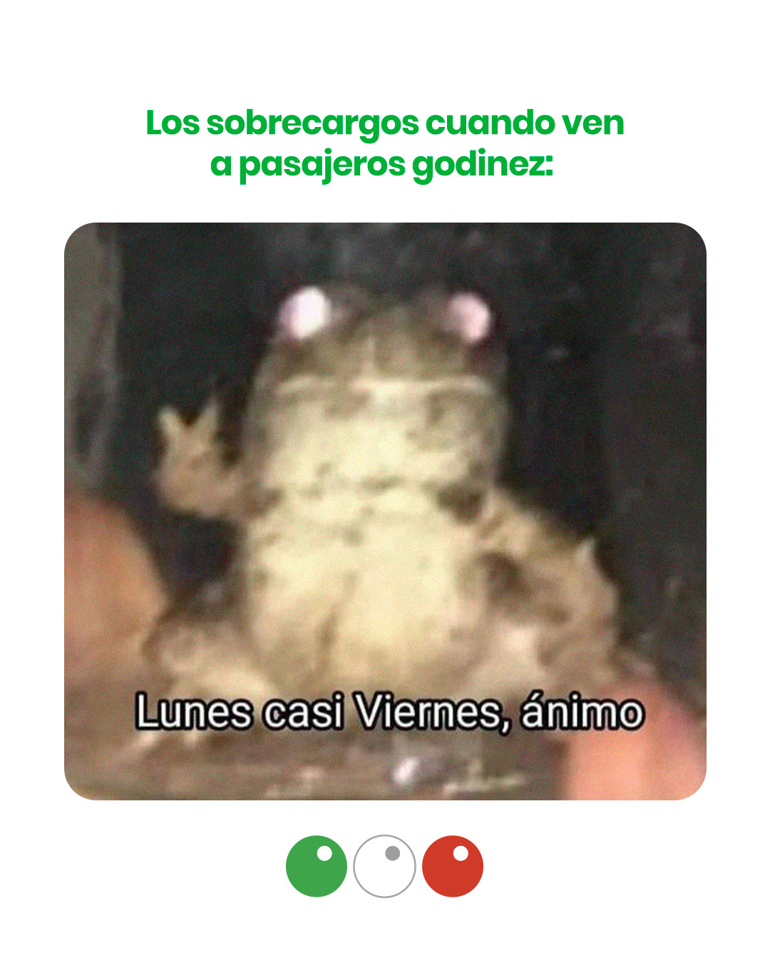 Memes Rana Viernes