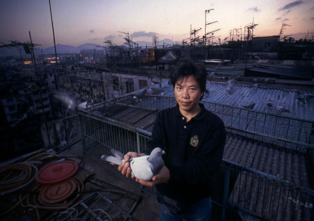 Kowloon Walled City Rooftops Rooftop Scenes, Kowloon Walled City, Hong