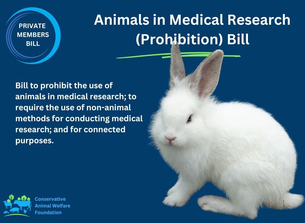 Why Are Animals Used In Medical Research