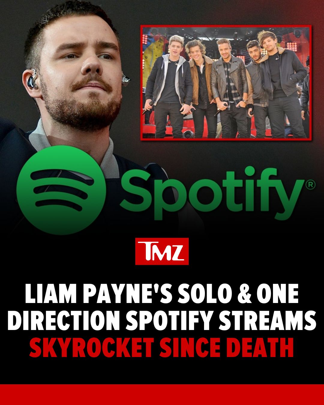 Affiches De Fans De One Direction 2024 Netflix Is Grootste