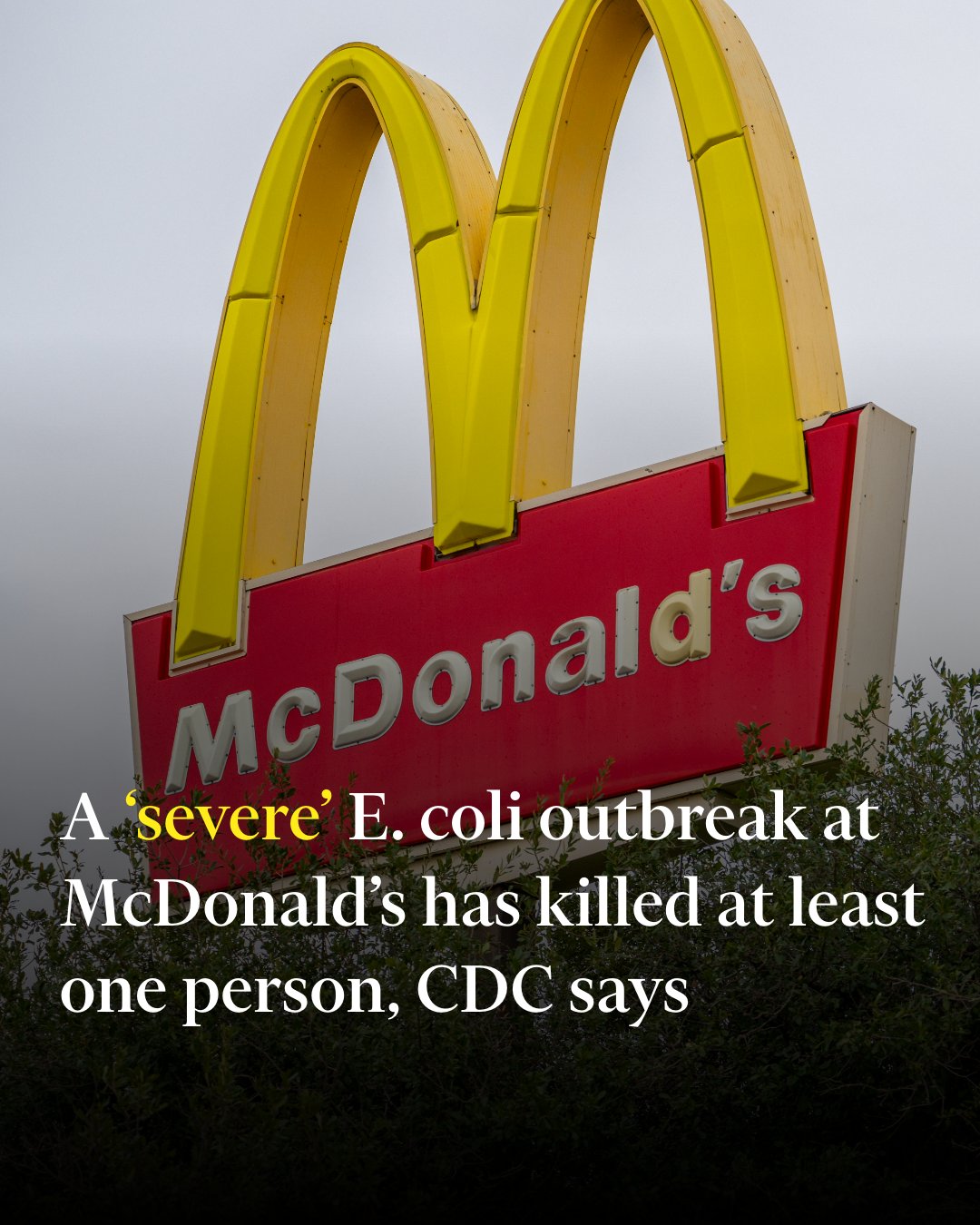 Memes Escherichia Coli University Of Arkansas Officials Report E. Coli