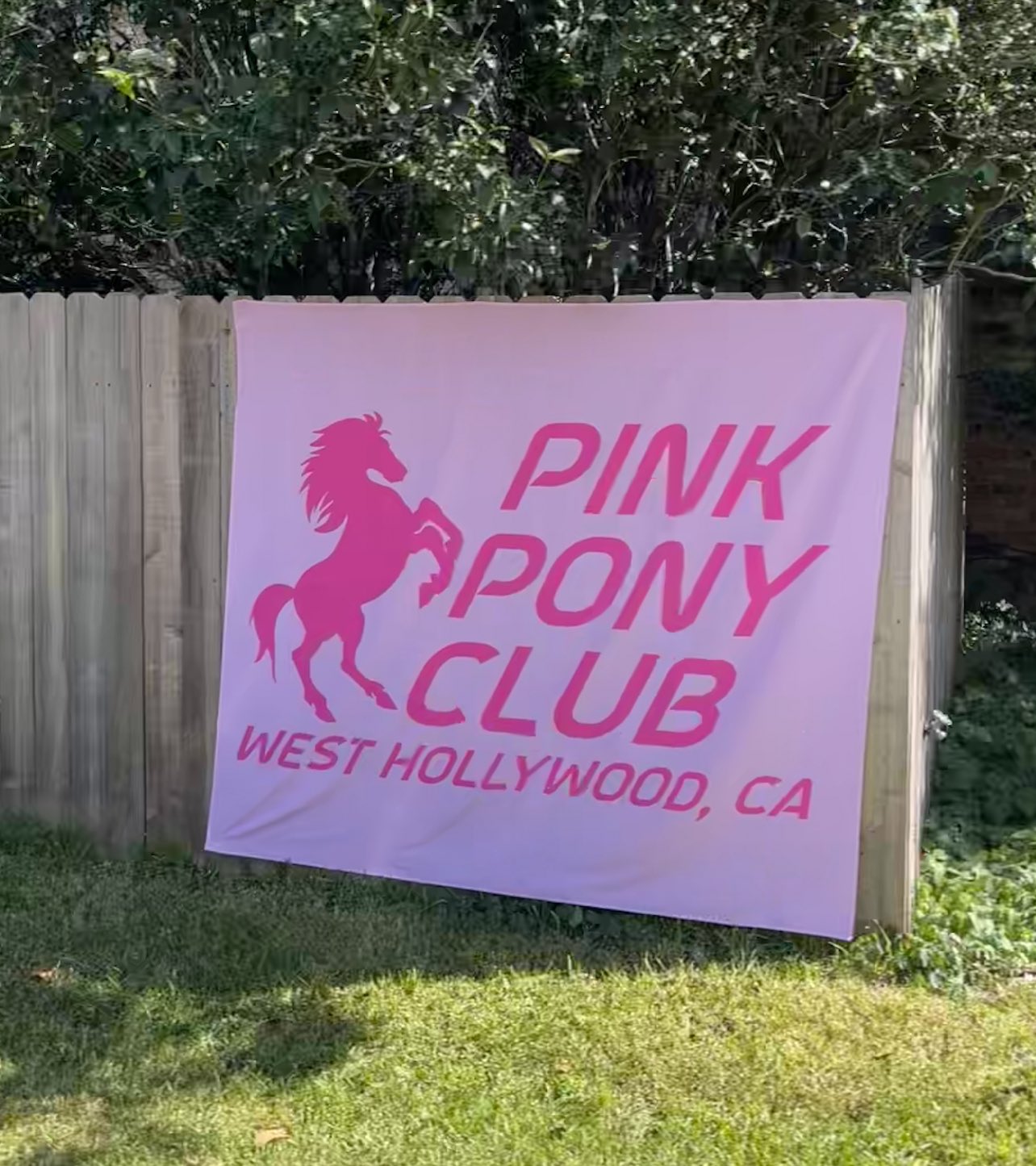 Pony Club Memes