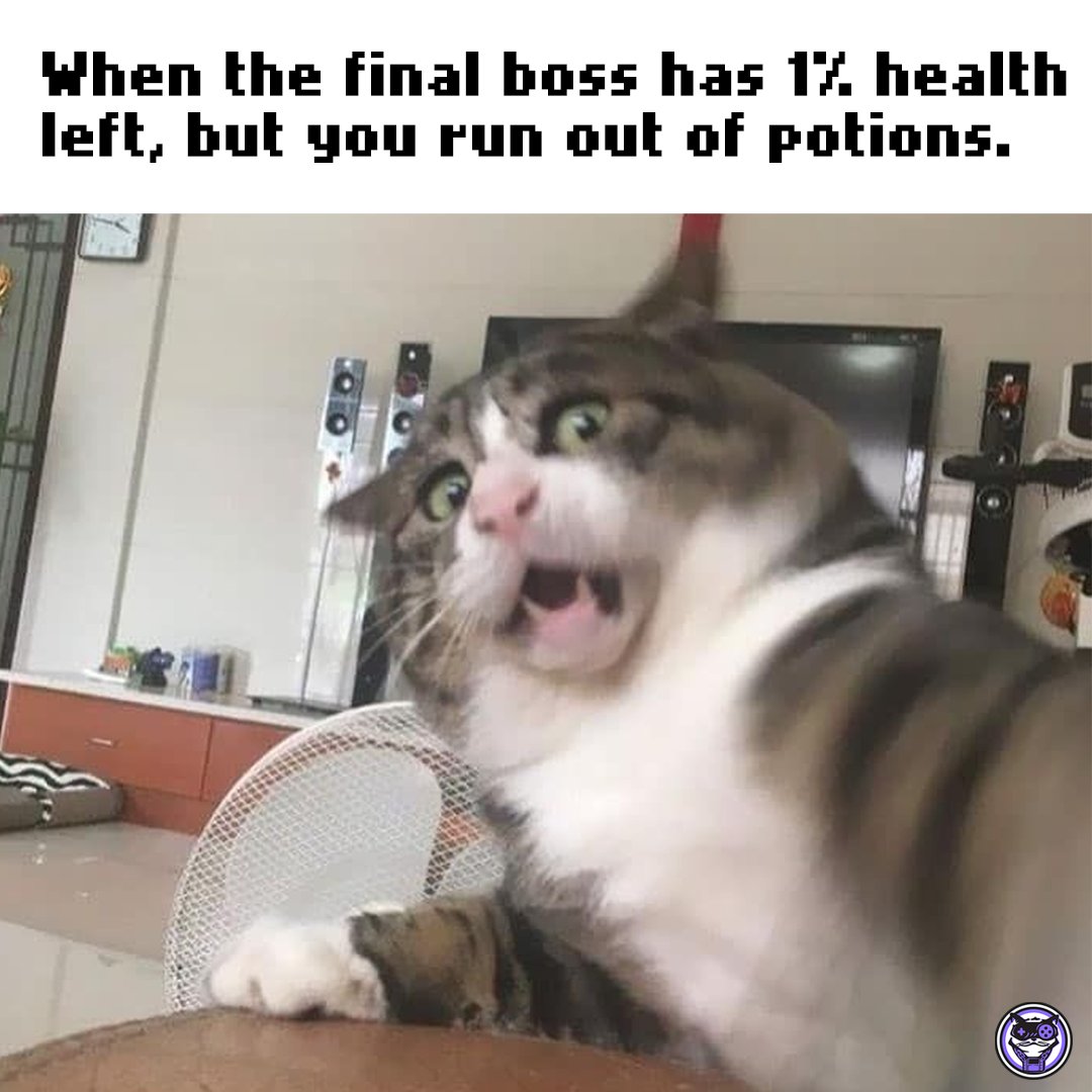 Panic Cat Meme Twitch Emote / Cute Meme Cat Emotes Pack #3 (hehe,