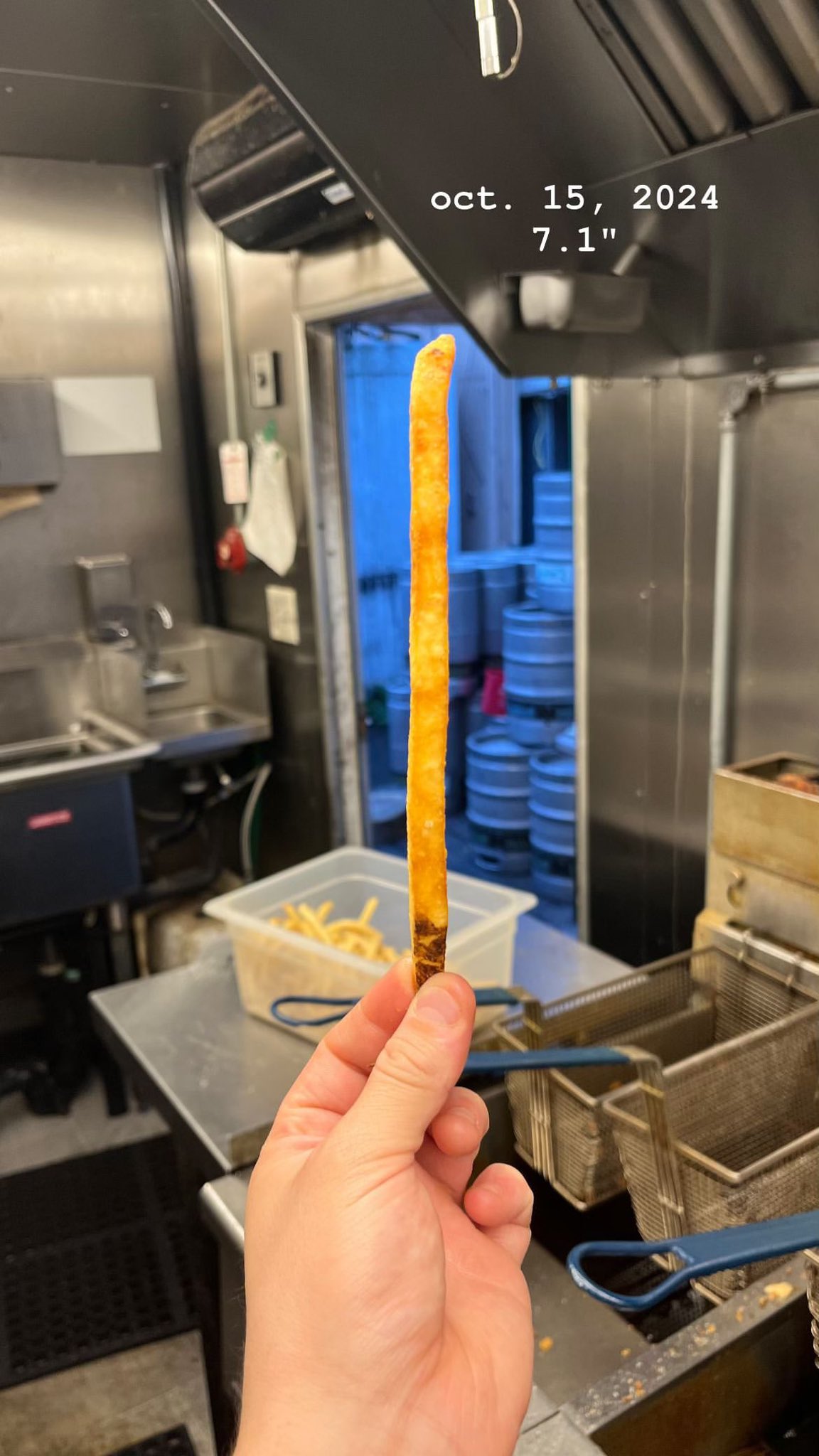 Worlds Biggest French Fry