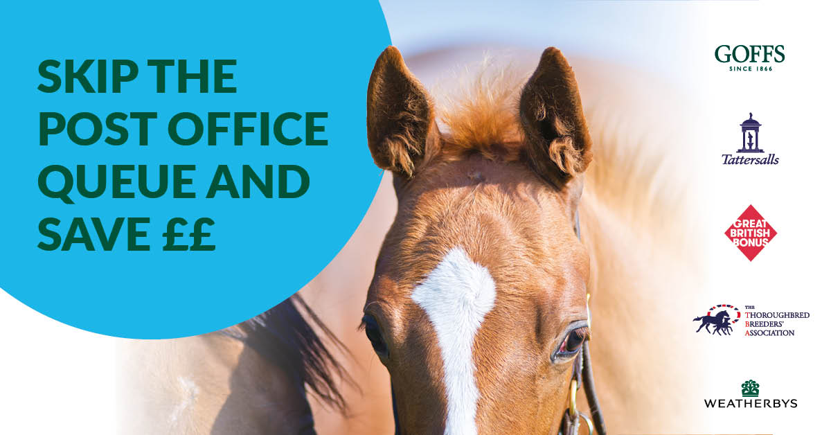 NSFA News and Updates - NSFA