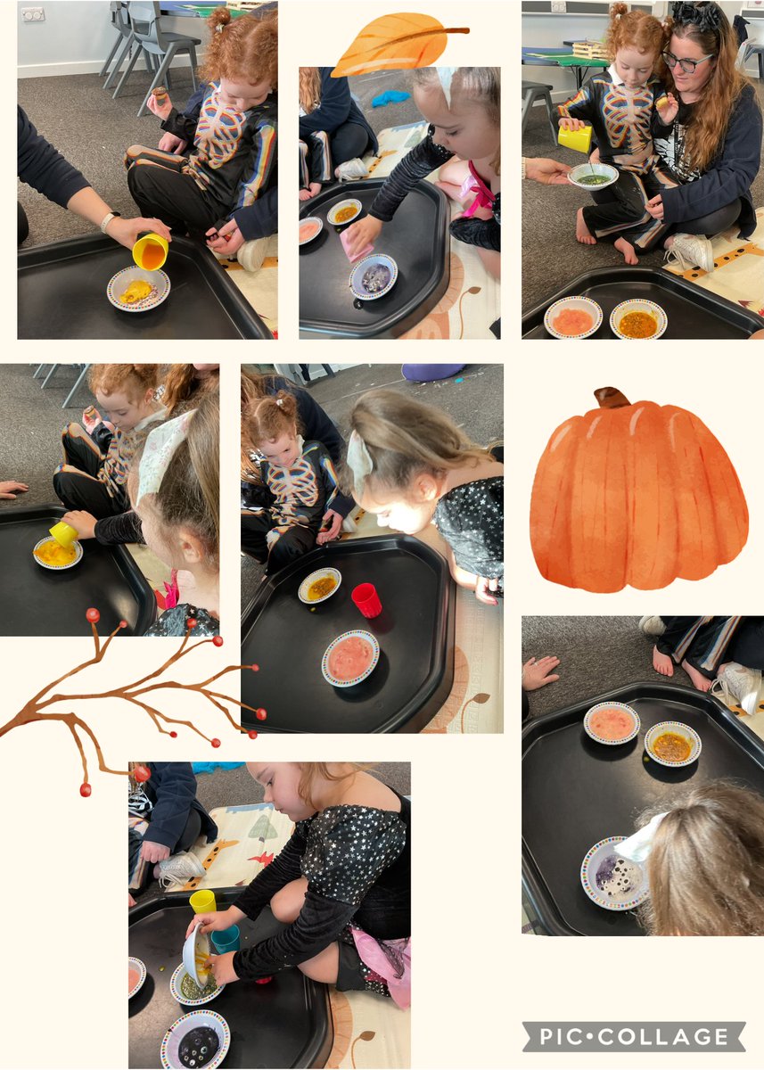 Bridgeview School - Hull - Bridgeview Special School - Hull