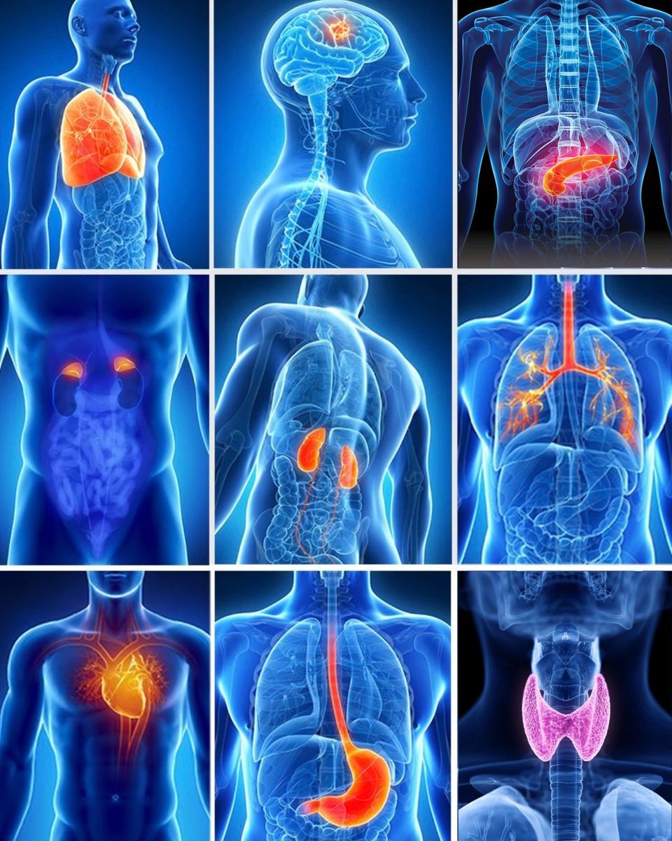 Thread by @bensmithlive on Thread Reader App – Thread Reader App