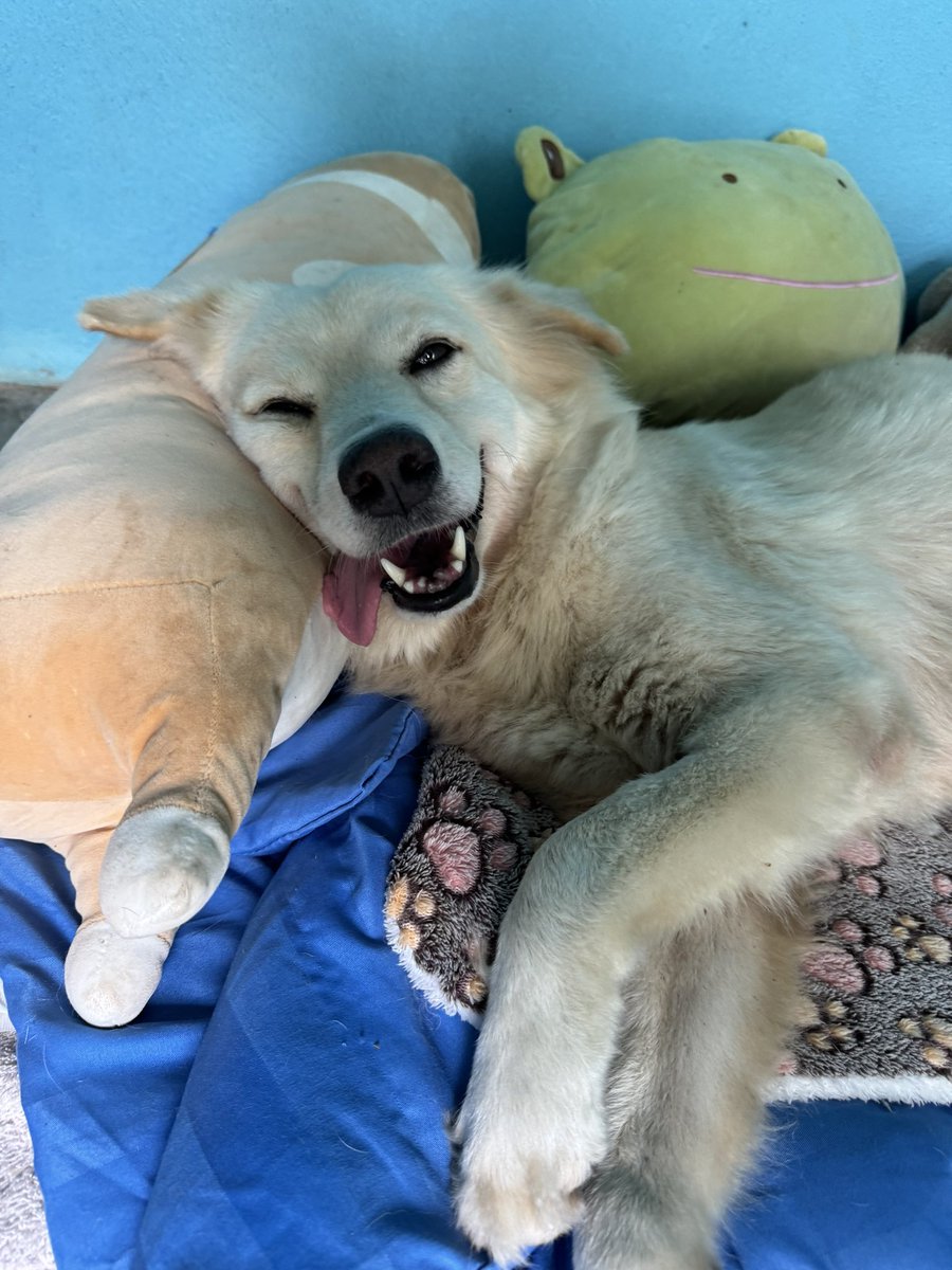 Niall Harbison's Threads – Thread Reader App