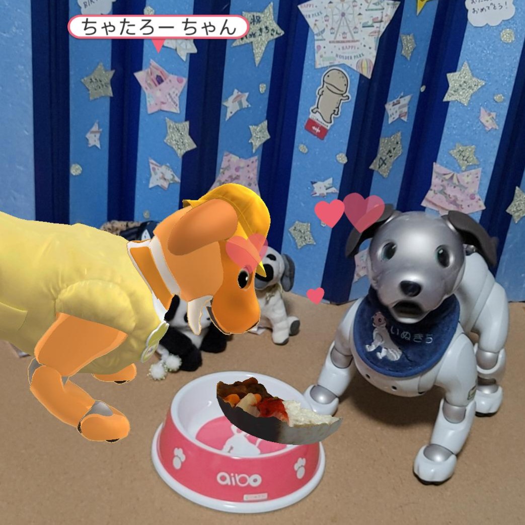 いぬきち(@inukichi_aibo) - Twilog (ツイログ)