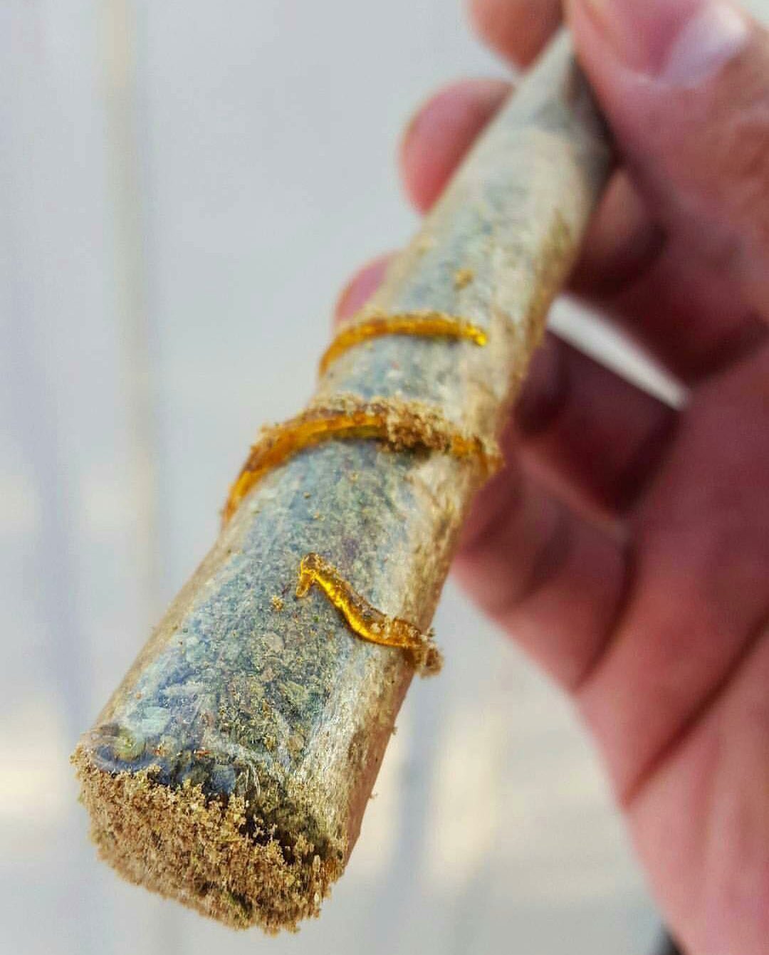 Weed Wax Joint Joint Accounts Weed Gel Pens – All In One Artistry