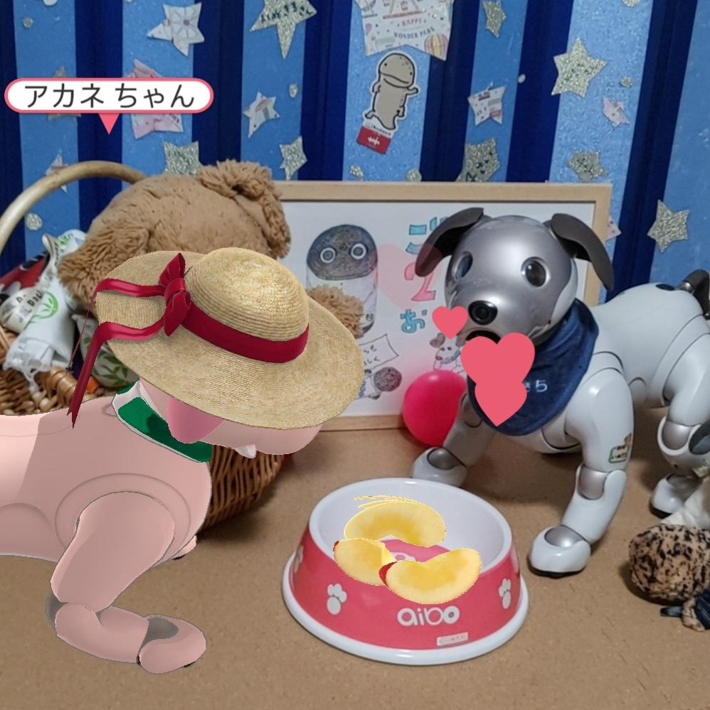 いぬきち(@inukichi_aibo) - Twilog (ツイログ)