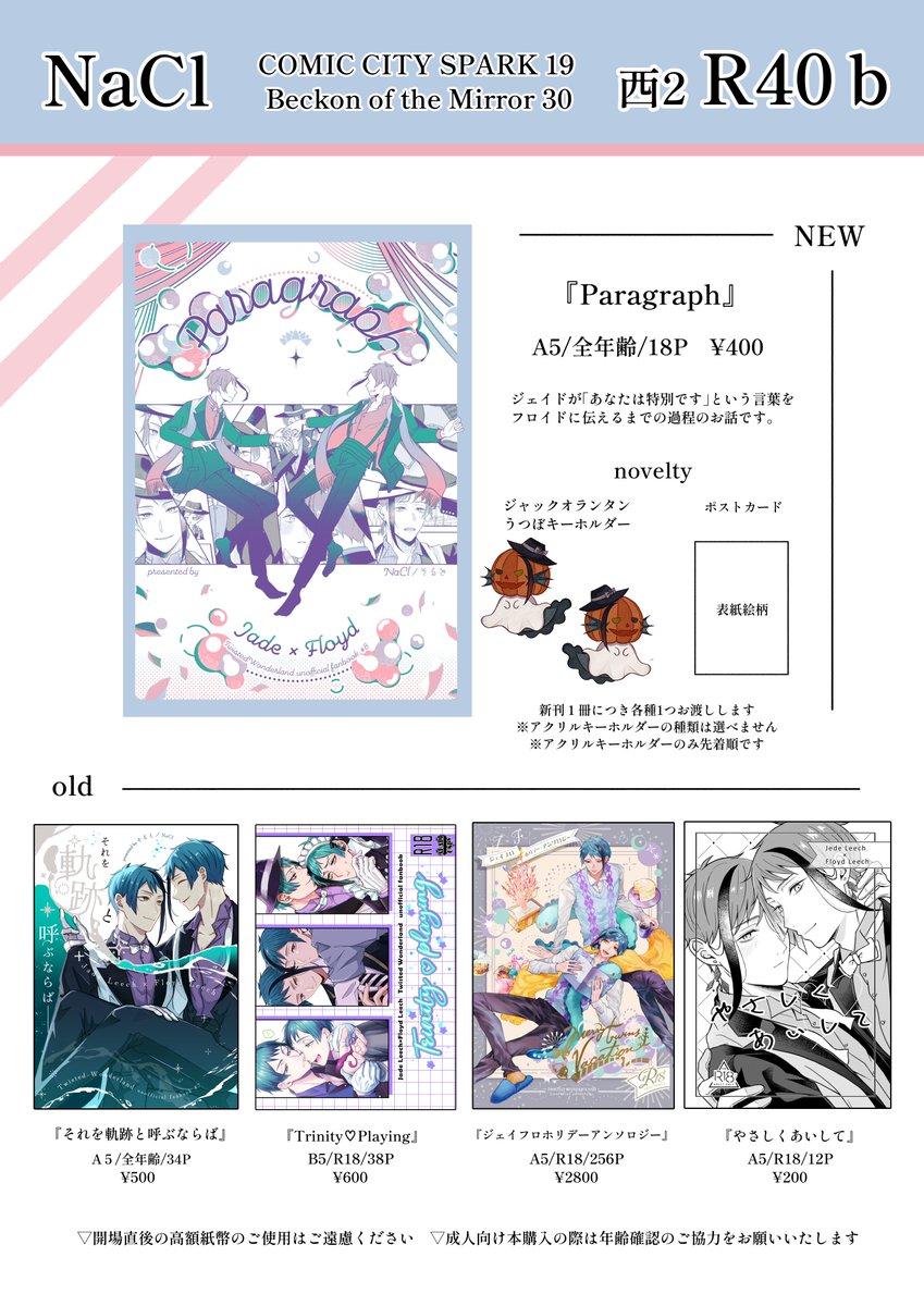 新刊サンプル 10/27 COMIC CITY SPARK 19 Beckon of the Mirror 30 」そると@2月🍫原稿の漫画