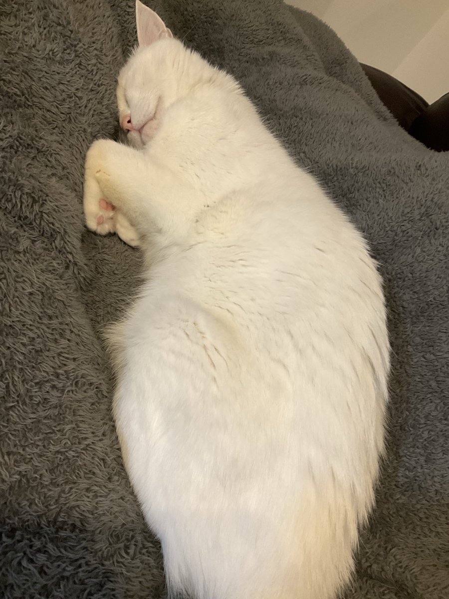 tetsuyakumagai(@doukana) - Twilog (ツイログ)