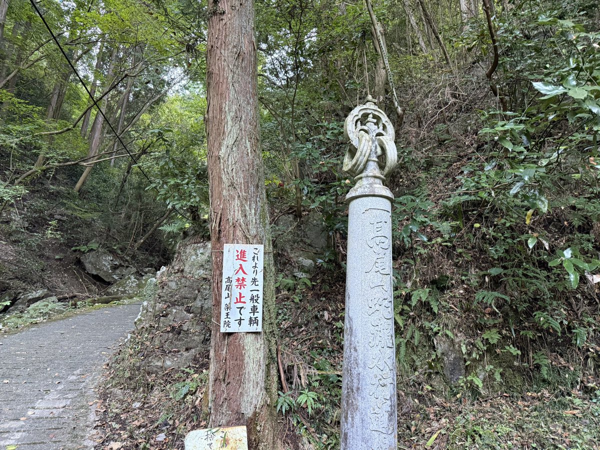 serick/カピバラ(@serick_rta) - Twilog (ツイログ)