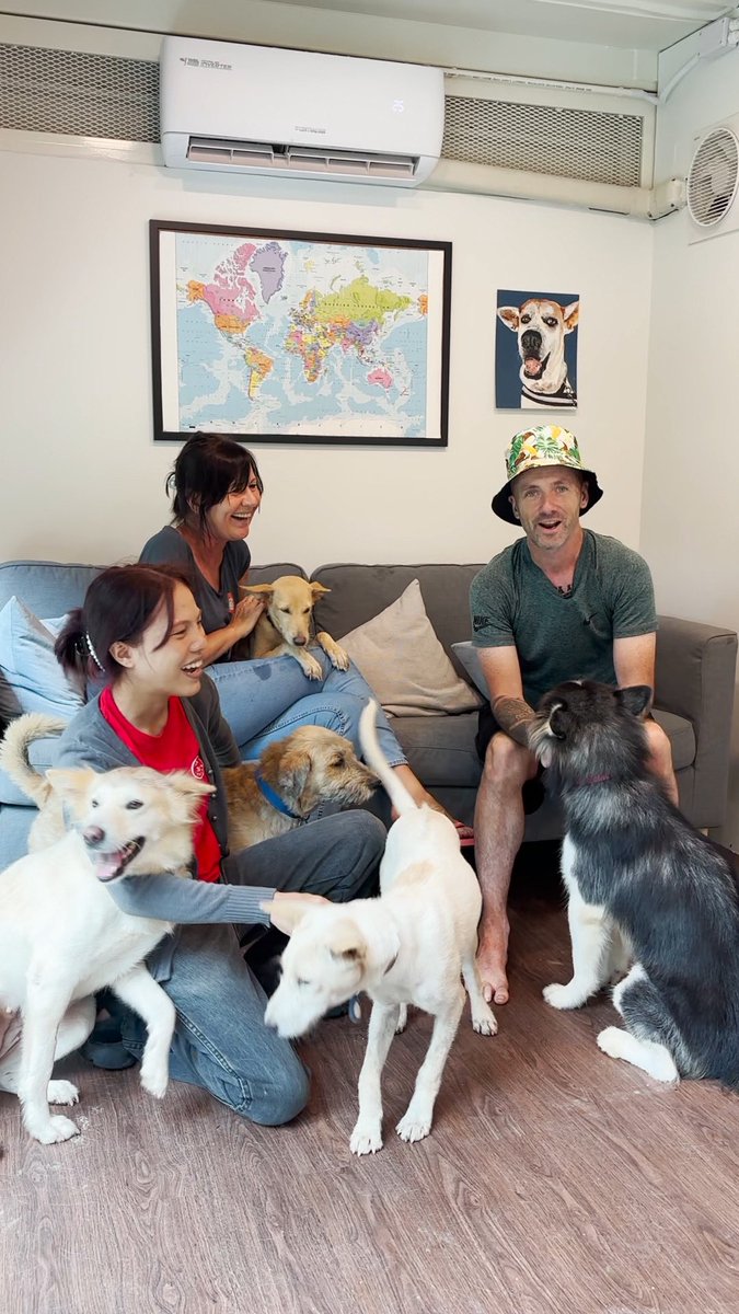 Niall Harbison's Threads – Thread Reader App