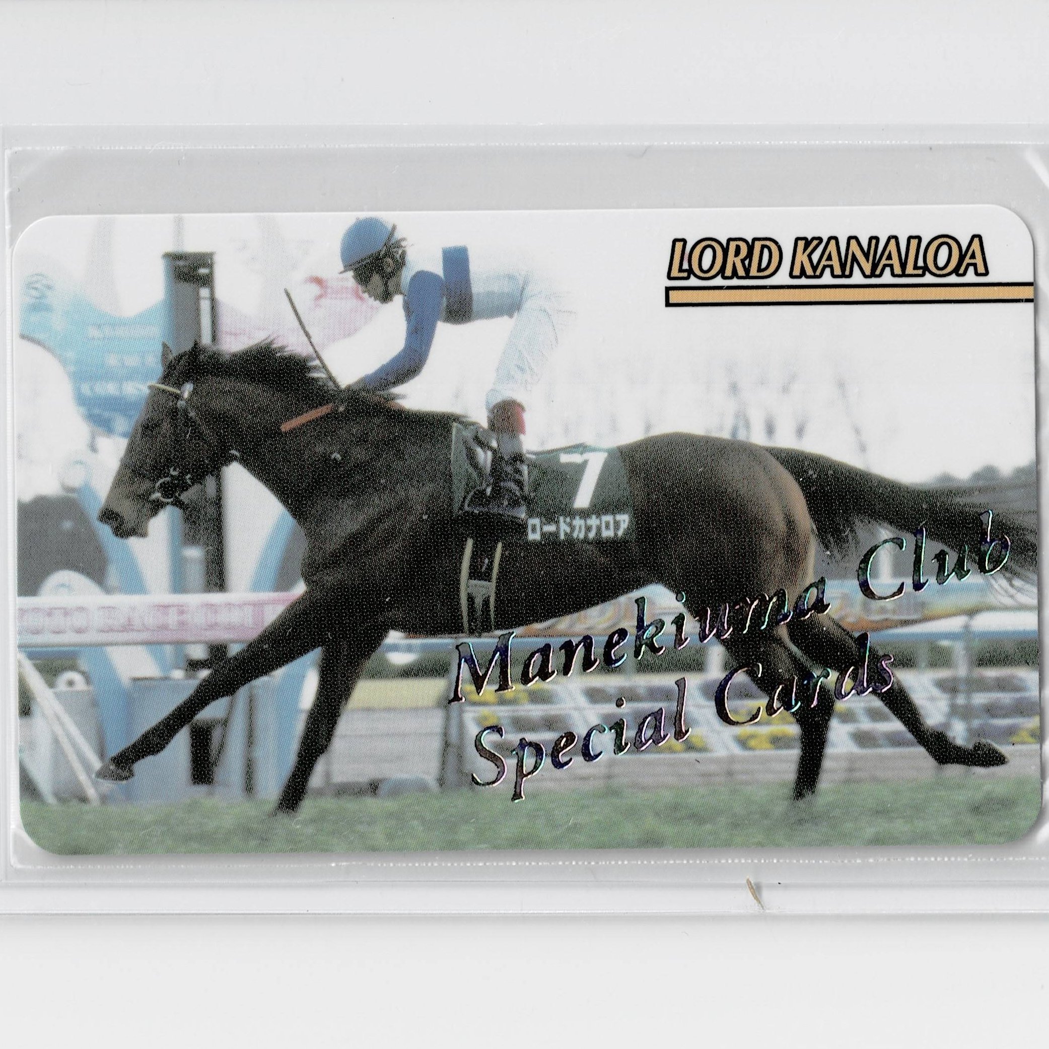 594番 SP Yahoo!オークション 012