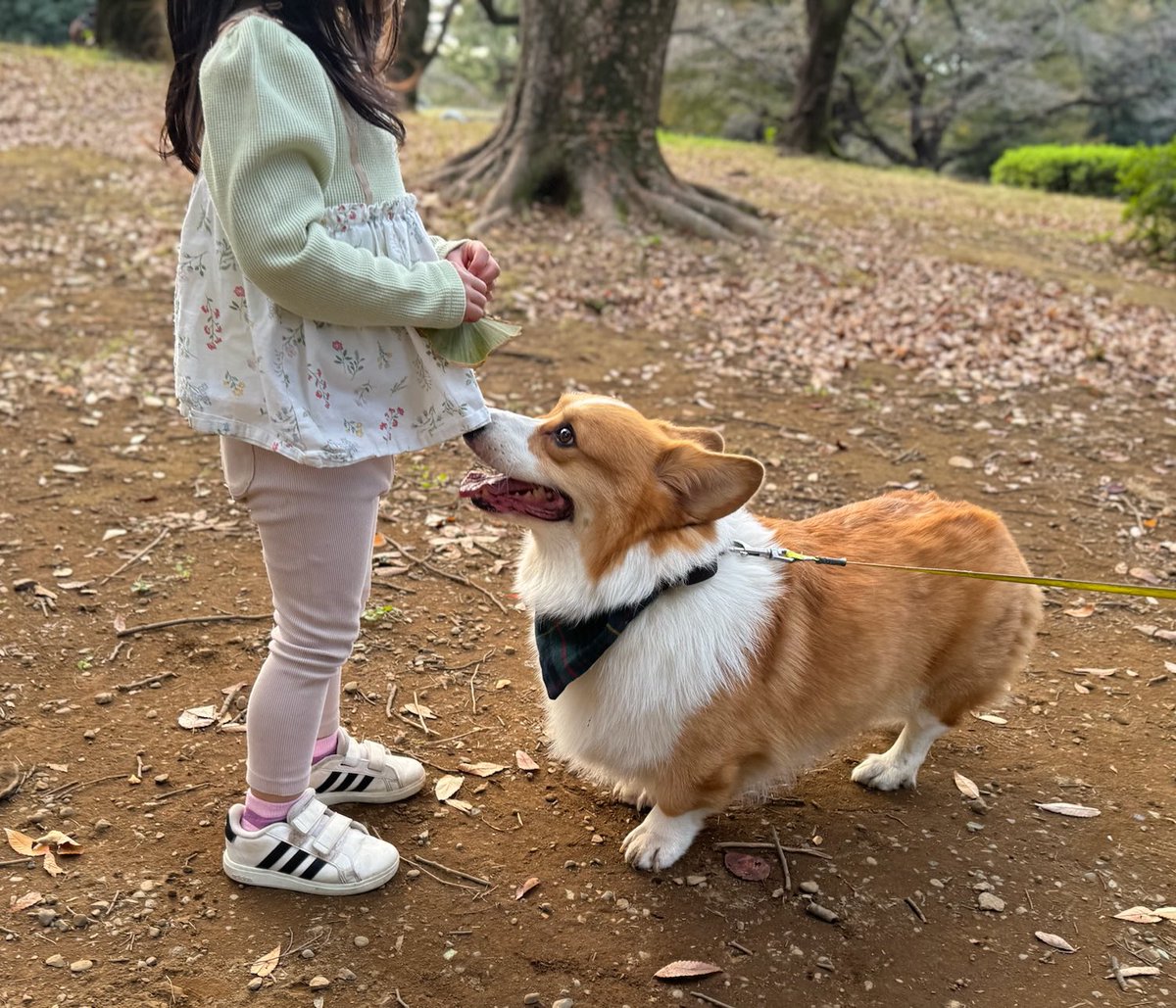 シーボ(@seabo) - Twilog (ツイログ)