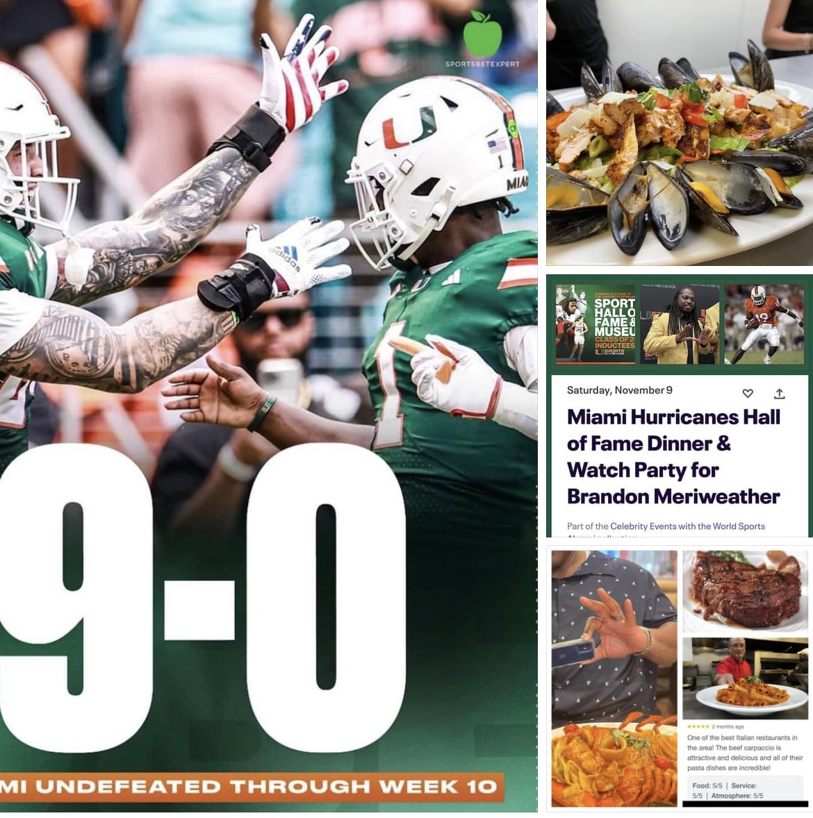 Pieles Rojas Brandon Meriweather