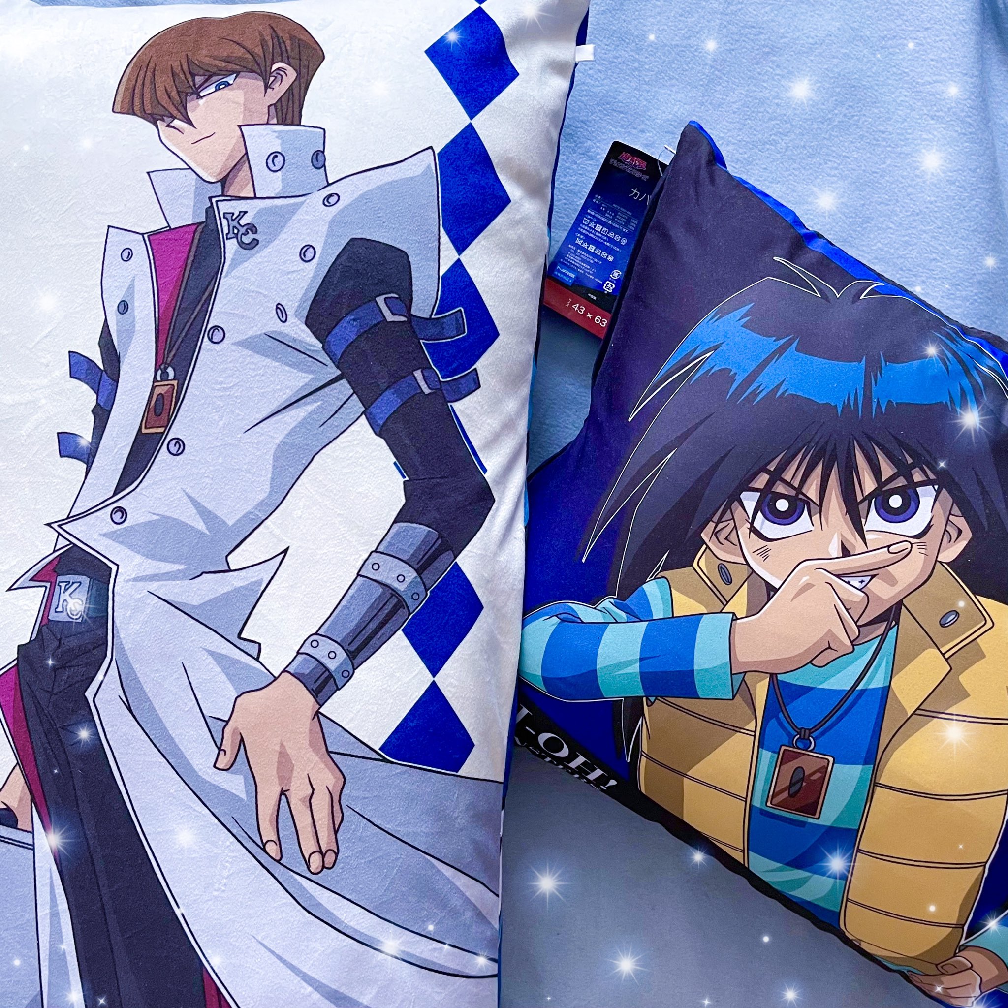 Seto Kaiba En Mokuba
