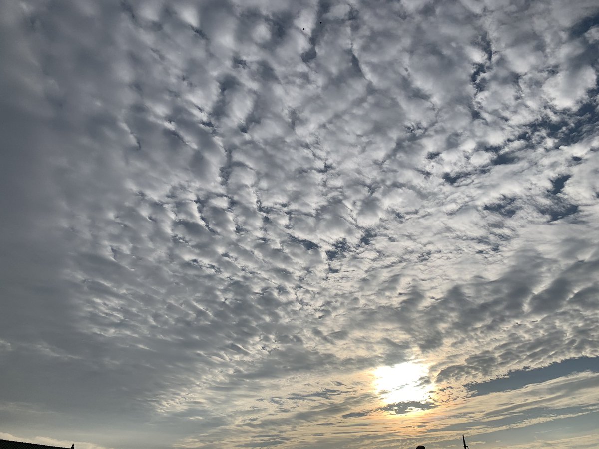 中川 哲(@Nakagawa_Tetsu) - Twilog (ツイログ)