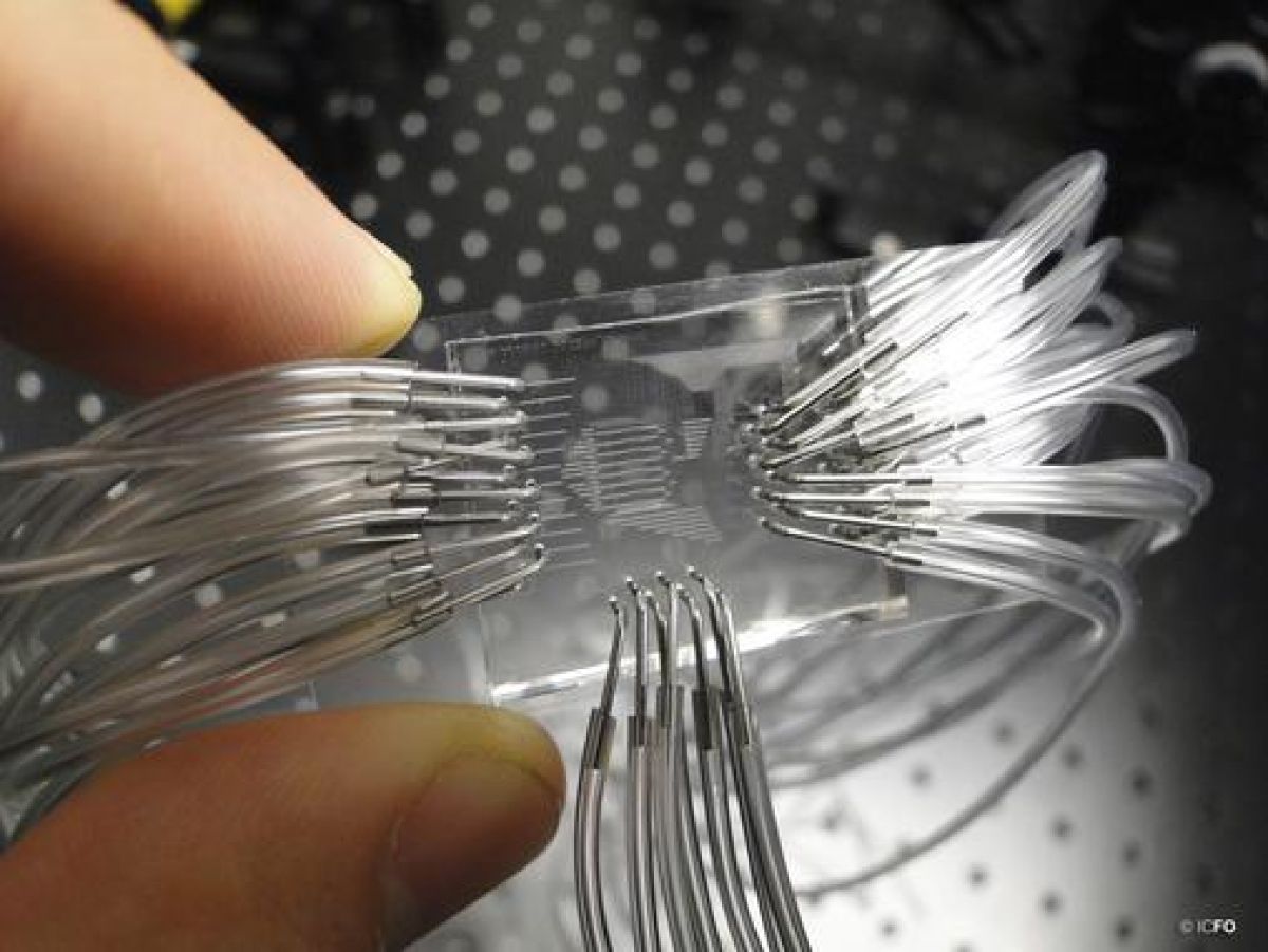 Dr Sergio Coma's Threads – Thread Reader App