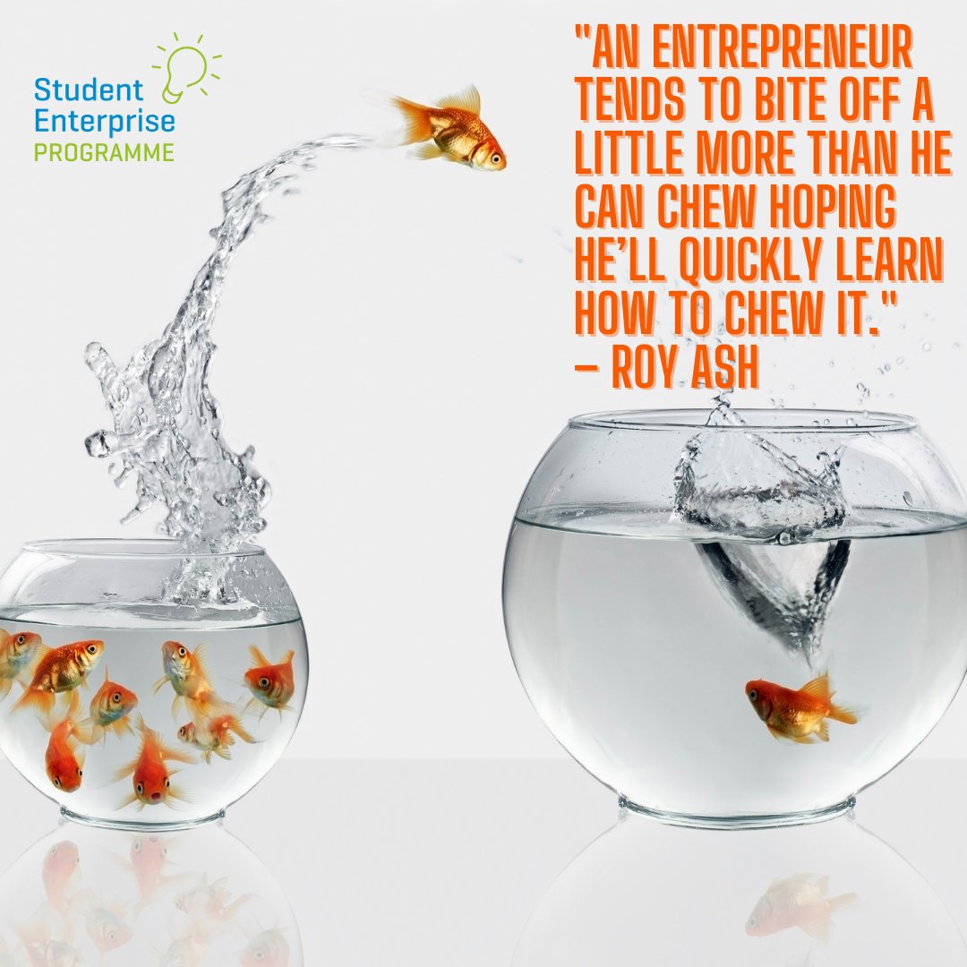 Student Enterprise Programme - Ireland’s Largest & Most Successful ...
