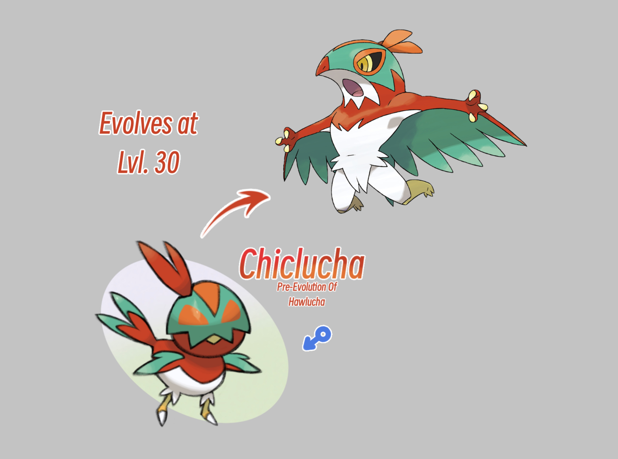 Hawlucha Evolution Pokemon Hawlucha | 127/172 Reverse Holo