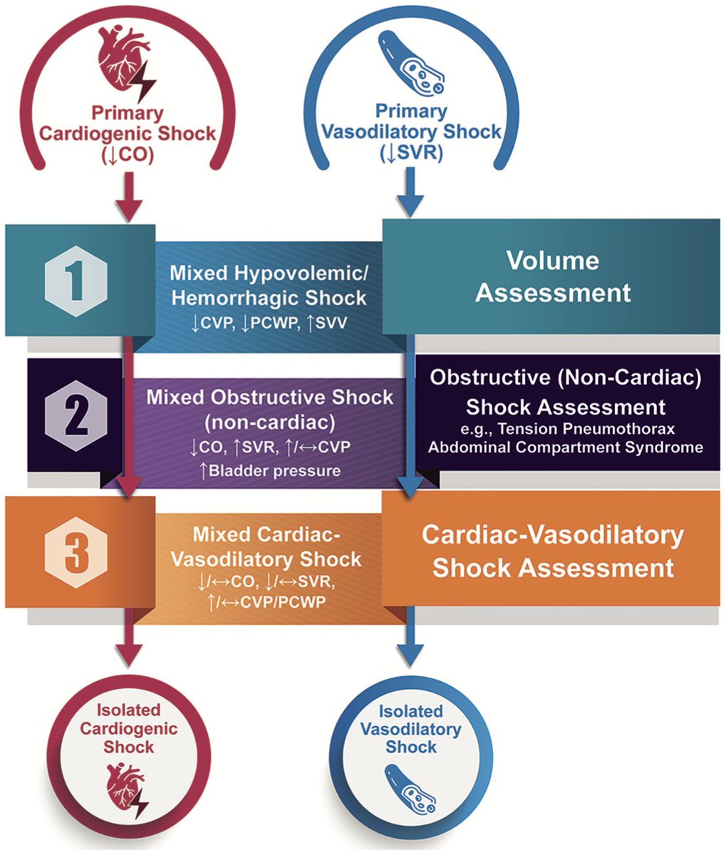 Thread by @IM_Crit_ on Thread Reader App – Thread Reader App