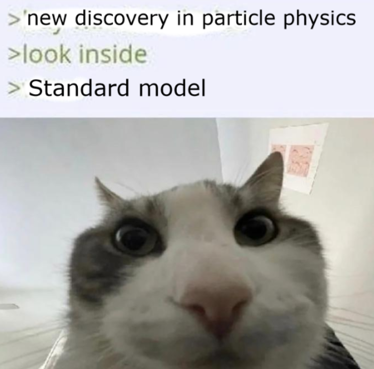 Cat Meme Physics Amazon.com: IPhone 14 Pro Max Inside The Box