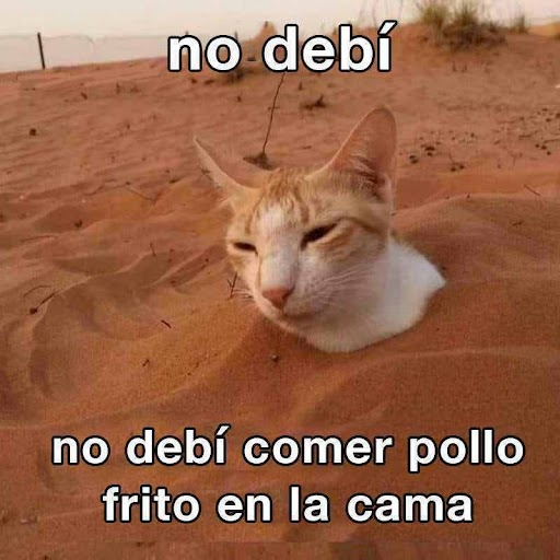 Memes Pollo Frito Filete De Pollo Frito GIF Filete De Pollo Frito