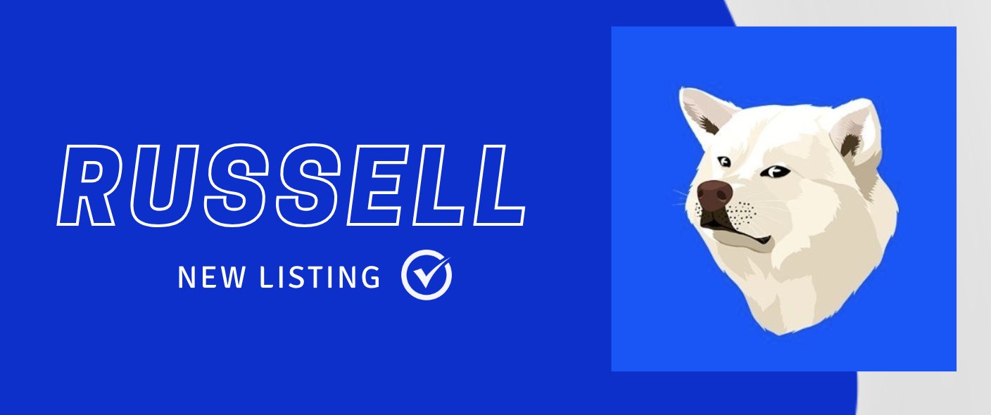 Memes Russell Funny Jack Russell Terrier Videos, Luna The Jack Russell
