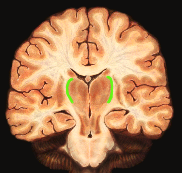 Aaron Boes's Threads – Thread Reader App