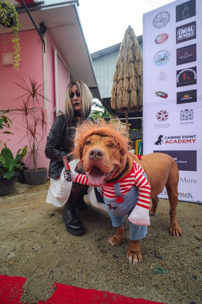 Niall Harbison's Threads – Thread Reader App