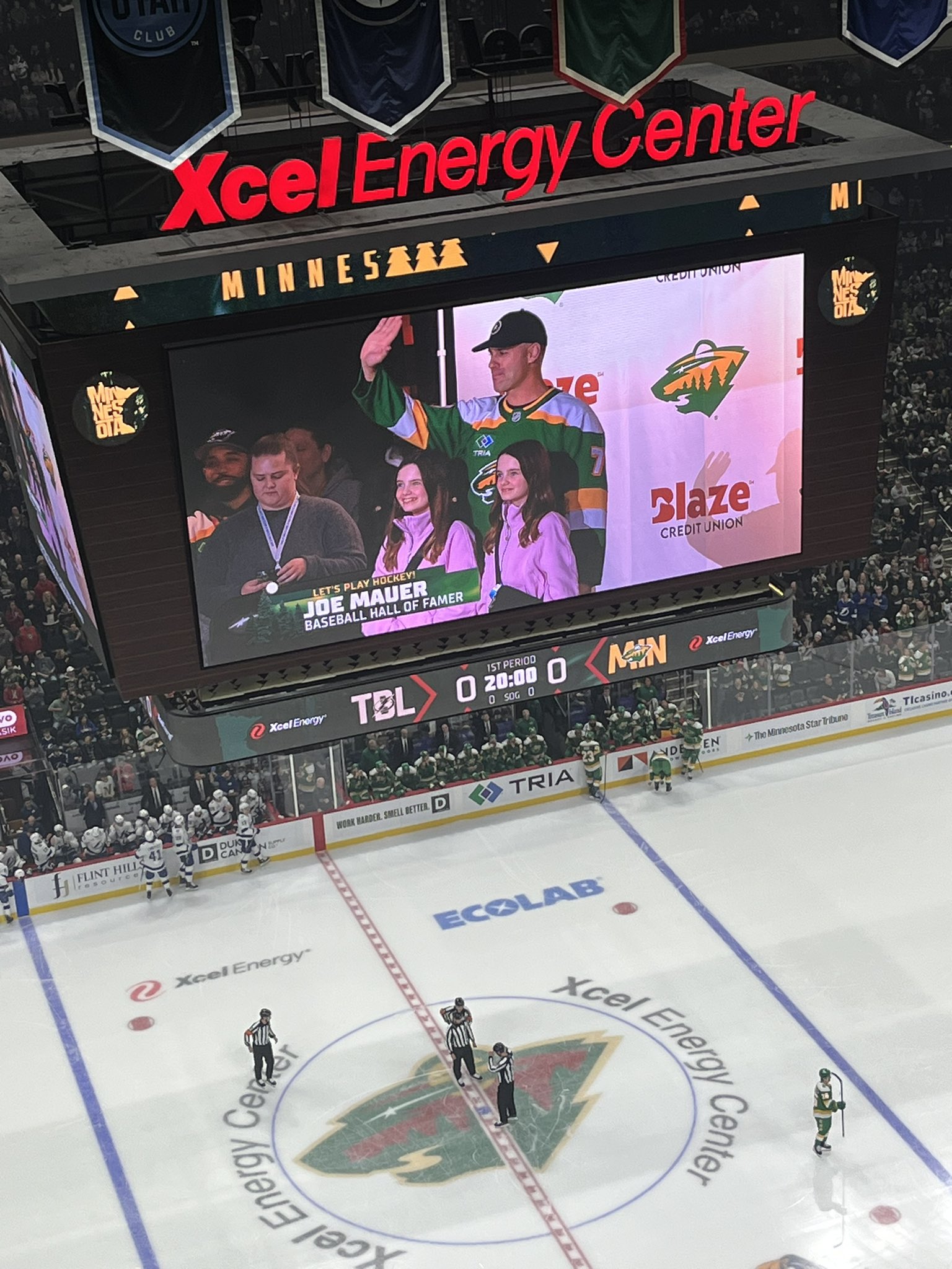 Joe Mauer Twin Girls