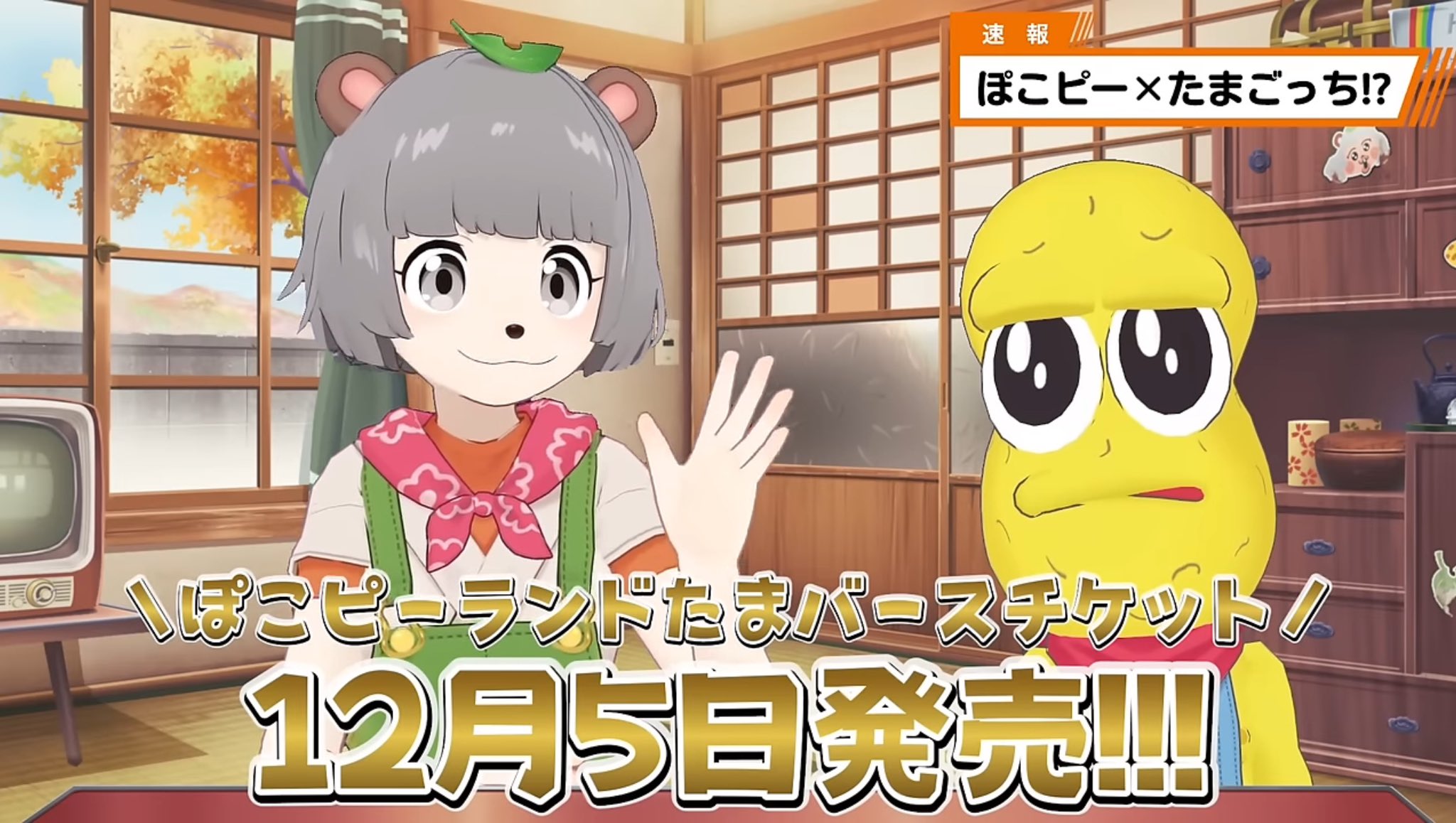 甲賀流忍者ぽんぽこ🍃たぬき! on X: 甲賀流忍者ぽんぽこ🍃たぬき! on X: