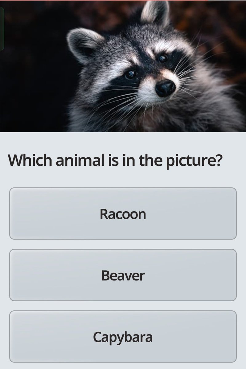 Guess this Animal Name ? Have you ever seen this animal in front of you ...