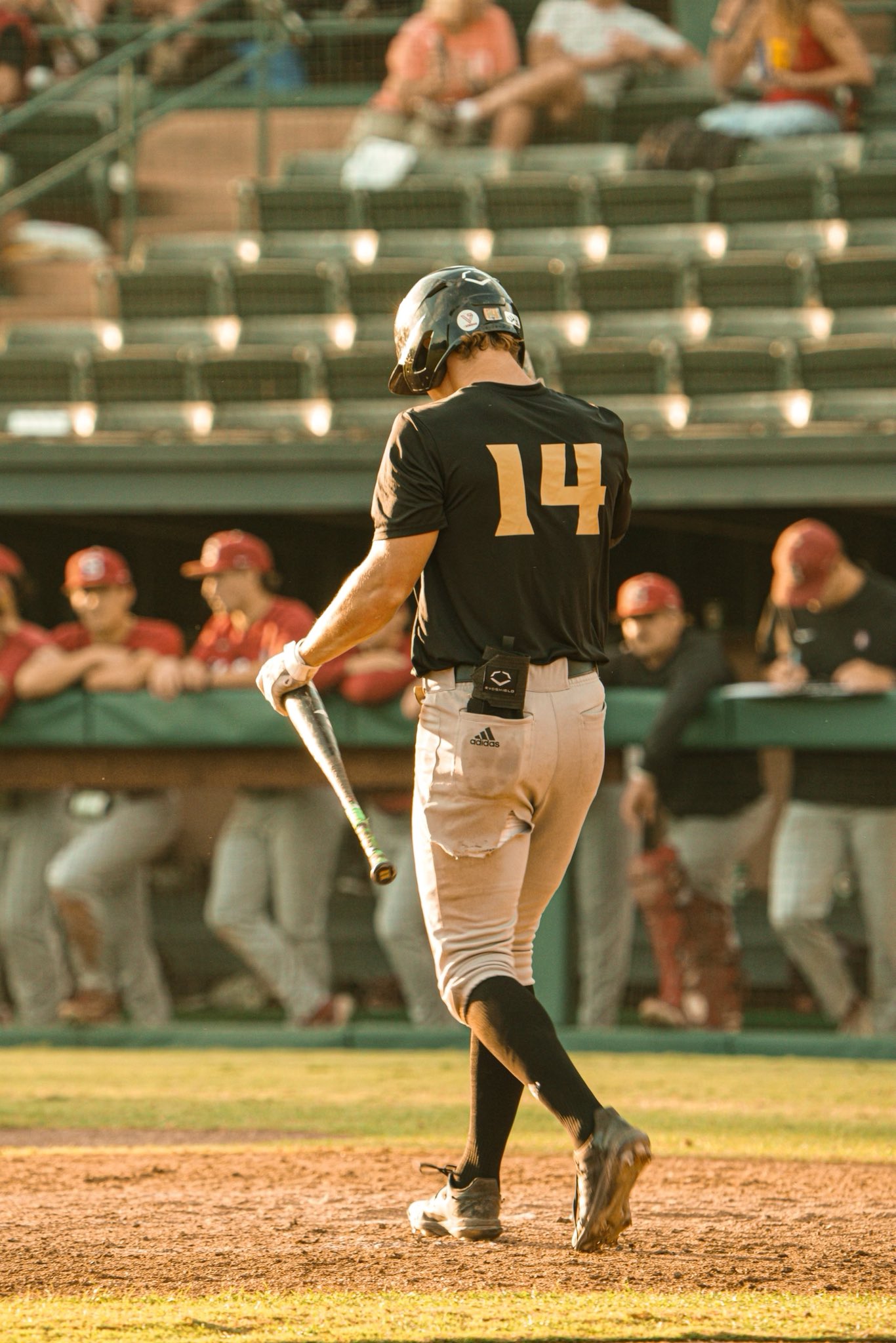 Cal Poly Baseball CalPolyBSB X
